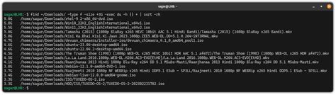 Sort Du Command Output By Size In Linux