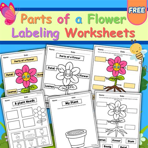 Parts Of A Plant Worksheets Worksheets Library