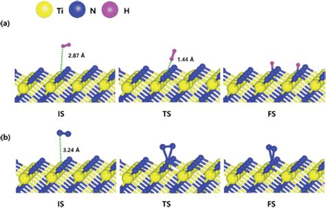 The Optimized Initial Transition And Final Structures Of The