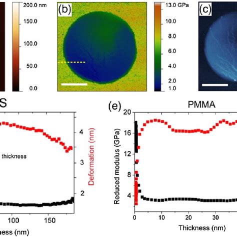 A Atomic Force Microscopy Afm Topography B Reduced Modulus And Download Scientific