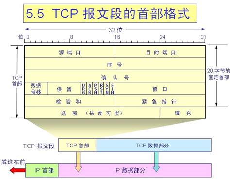 数据包各层首部 Wolfinchina 博客园