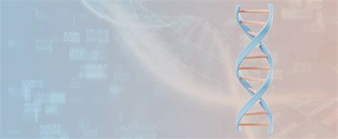 Custom Hybridization Capture Panels Igenetech