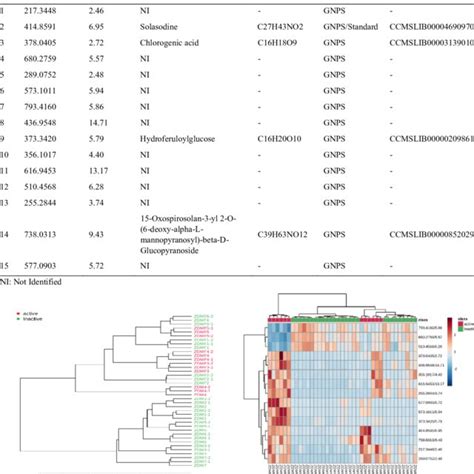 Discriminant Metabolites From Bioactivity Based Grouping Download Scientific Diagram