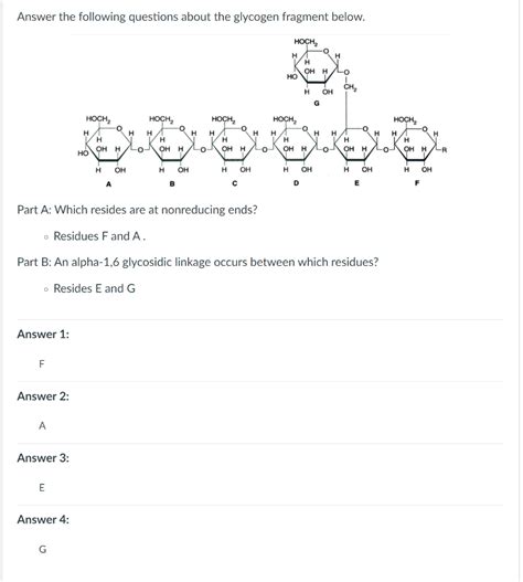 Solved Answer The Following Questions About The Glycogen