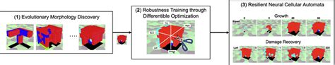 Approach Overview 1 A Diversity Of Morphologies Are Discovered