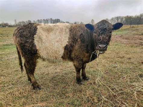 Worklessdomore Msp Mssp Cybersecurity Cybersecfarmers Jesse Miller 41 Comments