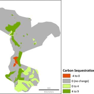C Storage Mg C Ha Changes Between And Positive C Storage Download Scientific