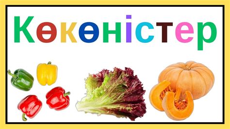 КӨКӨНІСТЕР Қазақша Овощи на казахском языке Youtube