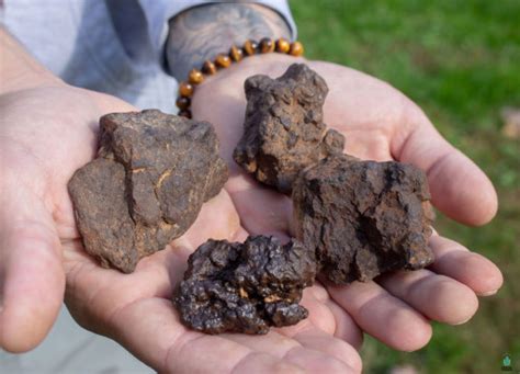 Sexuality Crystals The Crystal Council