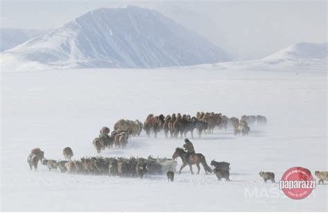 МАЛДАА ЯВААД СУРАГГҮЙ БОЛСОН 12 НАСТАЙ ХҮҮГ ЭСЭН МЭНД ОЛЖЭЭ