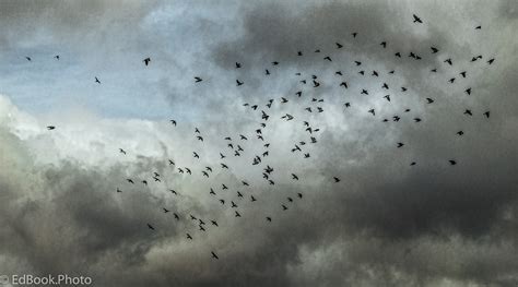 Storybook Photo Design Added Storybook Photo Design