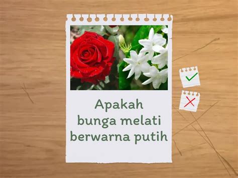 Ipa Tumbuhan Flash Cards
