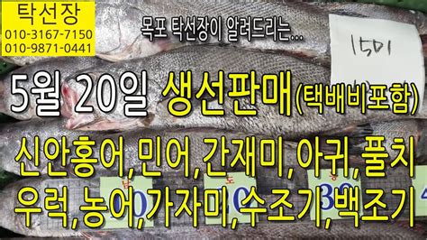 5월 20일 신안 홍어 민어 간재미 아귀 풀치 우럭 농어 가자미 수조기 백조기 맛있게 드시고 항상 건강하세요탁선장 목포 남도농수산 010 3167