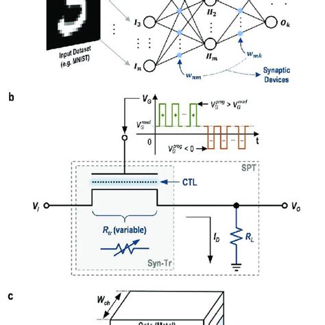 A Schematic Of An Artificial Neural Network Ann As A Simple