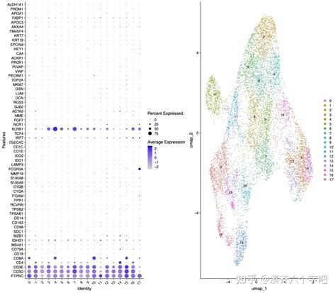 单细胞实战之亚细胞分群从t Nk至cd4 T细胞——从入门到进阶 中级篇1） 知乎