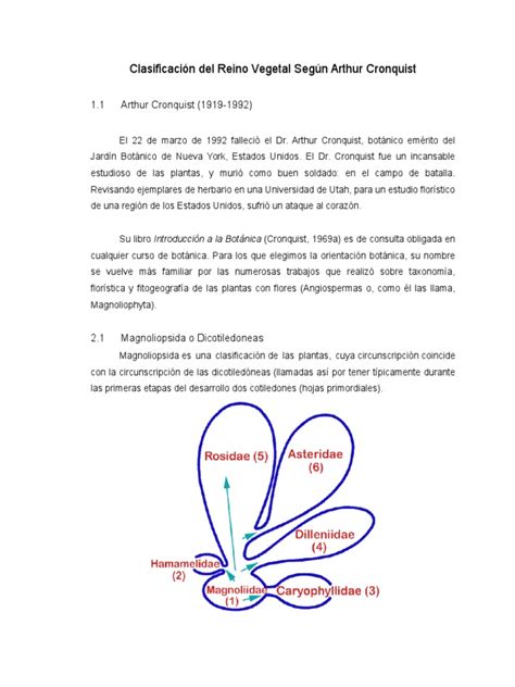 Clasificación Del Reino Vegetal Según Arthur Cronquist Pdf Nomenclatura Botánica Taxonomía