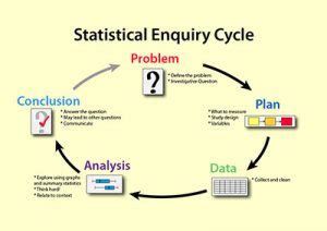 Understanding Statistical Questions Statistical Questions Examples StatCalculators Com