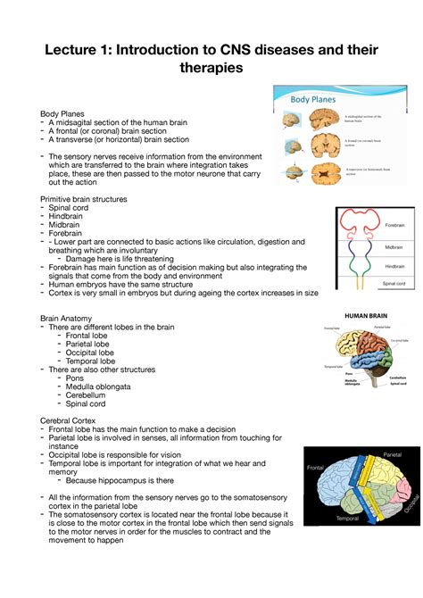 Lecture Intoduction CNS Lecture Introduction To CNS Diseases And Their Therapies Body