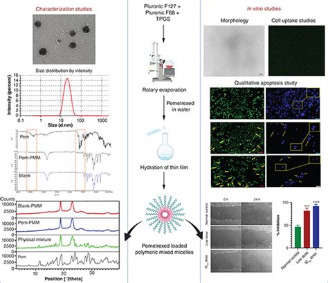 Tailoring Micellar Nanocarriers For Pemetrexed In Breast Cancer Design Fabrication And In