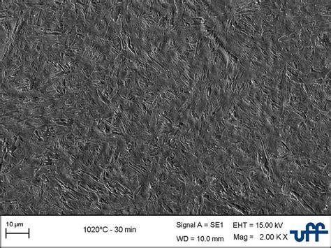 Aisi H13 Tool Steel Sem Se Micrograph Of The As Quenched Microstructure Download Scientific