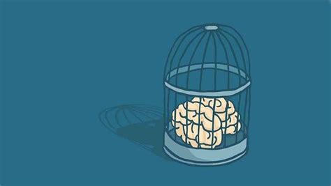 Aida Tizro On Linkedin Psychological Insights For Ux Design The