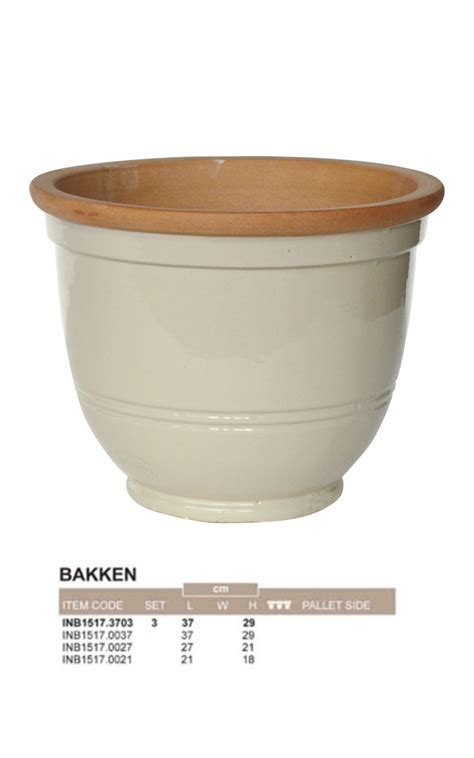 Bakken Rosa Planters Vietnam Co Ltd