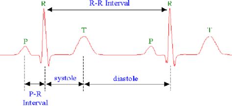 Figure 1 From Ecg Based Human Authentication Using Wavelets And Random Forests Semantic Scholar