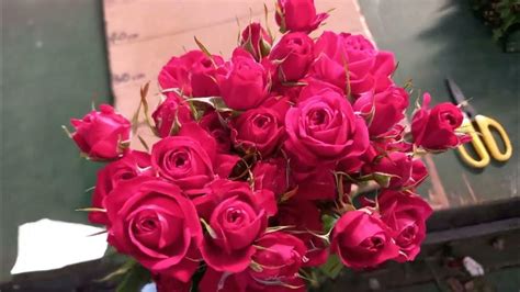 체리로즈 생화 꽃집 꽃집창업 꽃값 온라인꽃시장 온라인꽃도매 인터넷꽃시장 인터넷꽃도매 서울꽃시장 꽃농장 꽃배송 생화배송 생화도매 생화택배 꽃배달 생화배달 생화주문 생화부케