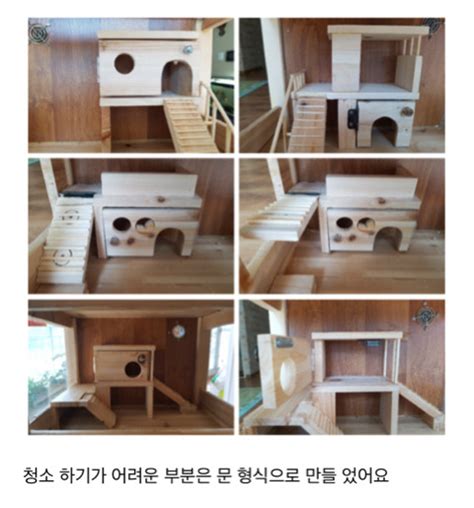 핸드메이드 햄스터 집 이라 읽고 햄스터 아파트라 읽는다 인스티즈 instiz 인티포털 카테고리