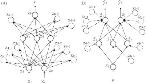 Illustration Of Original Neural Network Adjoint Neural Network And