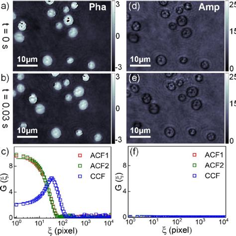 Comparison Between The Correlation Analysis Of The Phase Images And