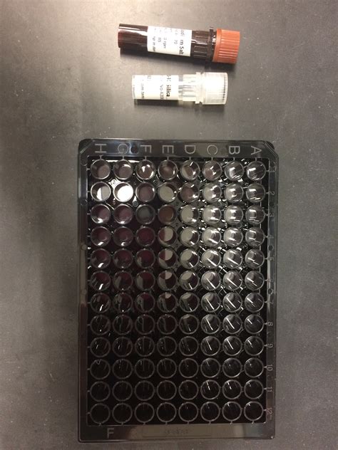 Team UIUC Illinois Interlab Study Igem Org