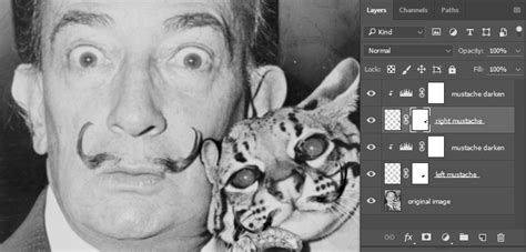 112 Exercise 2 Saving A Selection On A Layer Mask Digital Foundations Introduction To Media