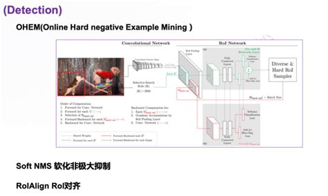 从cnn到transformer：基于pytorch的遥感影像、无人机影像的地物分类、目标检测、语义分割和点云分类 遥感图像场景分类
