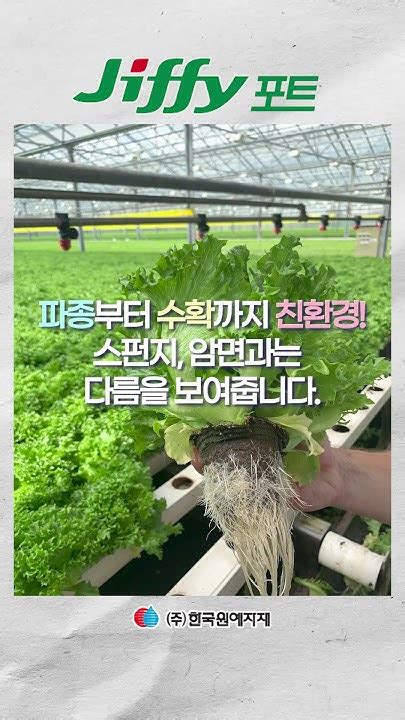 수경 재배 대량 삽목 육묘 등에 사용이 편리한 지피포트 농사템 상추농사 허브농사 멜론농사 Youtube