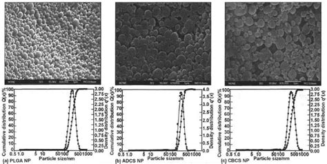 生物素化 壳聚糖修饰的plga纳米粒 载胰岛素聚乳酸纳米粒的制备 知乎