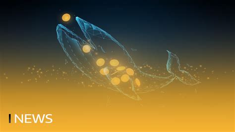 Nft Whale Sells Over 1000 Nfts In 48 Hours Bitmarkets