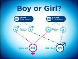 Sex Determination And Mutation Biology Class Neet Pdf Download