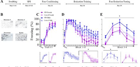Figure 1 From Sex Differences In The Single Prolonged Stress Model Semantic Scholar