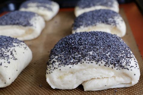 Tebirkes Danish Poppy Seed Pastry Recipe Dobbernationloves