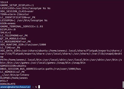 How To Set Environment Variables In Zsh