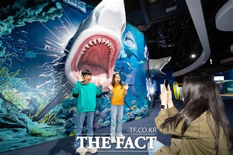 롯데월드 아쿠아리움 상어 포토존 오픈 어휴 무서워~ [tf사진관] 포토 기사 더팩트