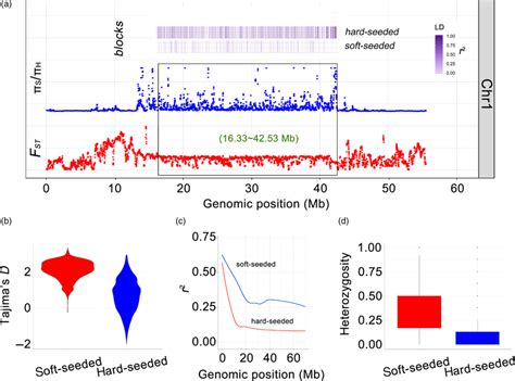 A An Exceptionally Large Selective Sweep Region Detected On Download Scientific Diagram