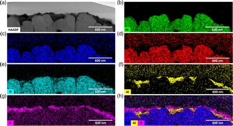Stem‐edx Analysis Of A Cross Section Of Cycled Nmc701515 Coated By Download Scientific Diagram