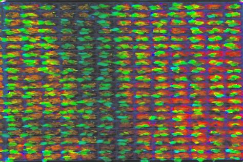 Proyecto De Tesis Conteo De Plantines Object Detection Dataset V8 Tesis Ignacio 640 By Ignacio