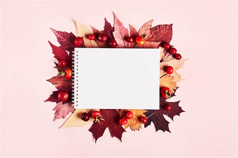 분홍색 배경에 가을 화려한 나뭇잎과 열매의 프레임이있는 노트북 안녕하세요 가을 창조적 인 개념 0명에 대한 스톡 사진 및 기타 이미지 Istock