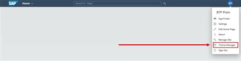 Access The SAP UI Theme Designer Neptune DXP Documentation