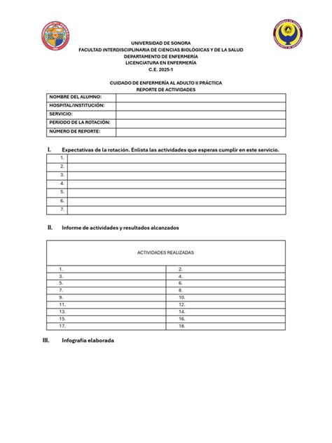 Formato De Reporte De Actividades Pdf