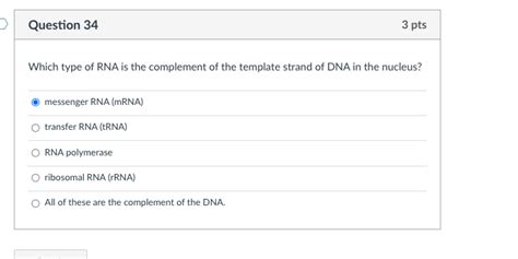 Solved Question 34 3 Pts Which Type Of Rna Is The Complement