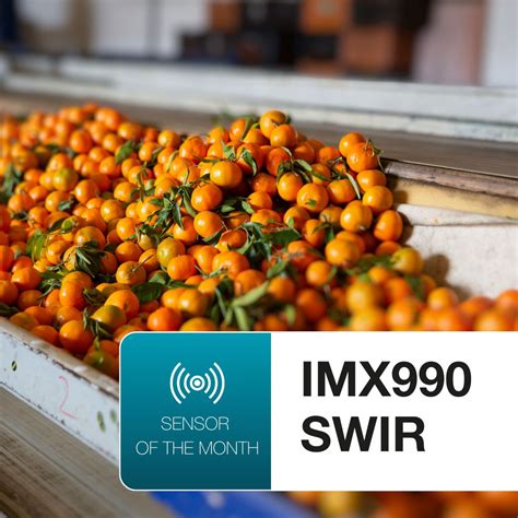 Swir Framos Sensorofthemonth Sensor Imx990 Swir Framos